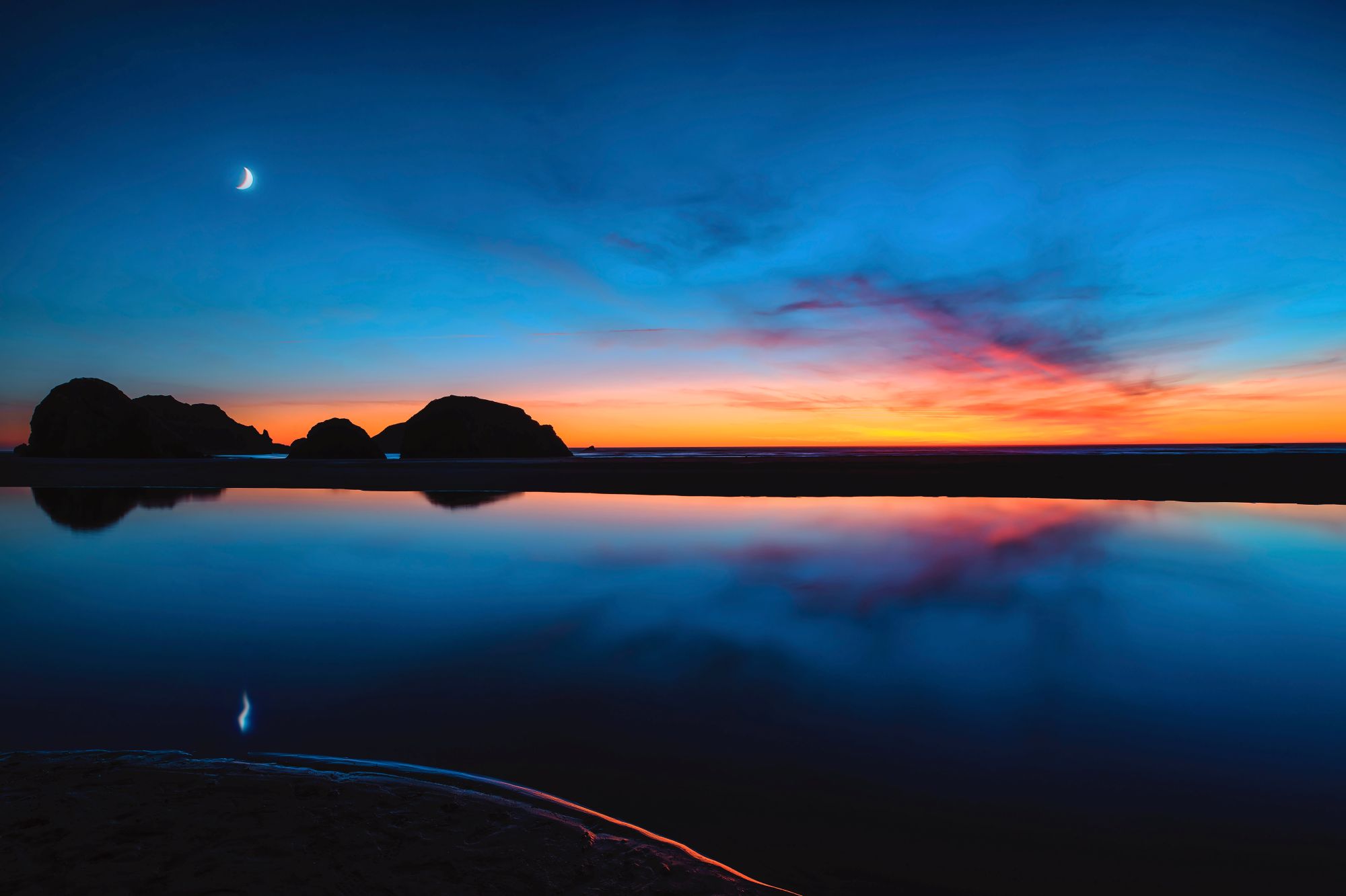 Home - Church of the Mushroom