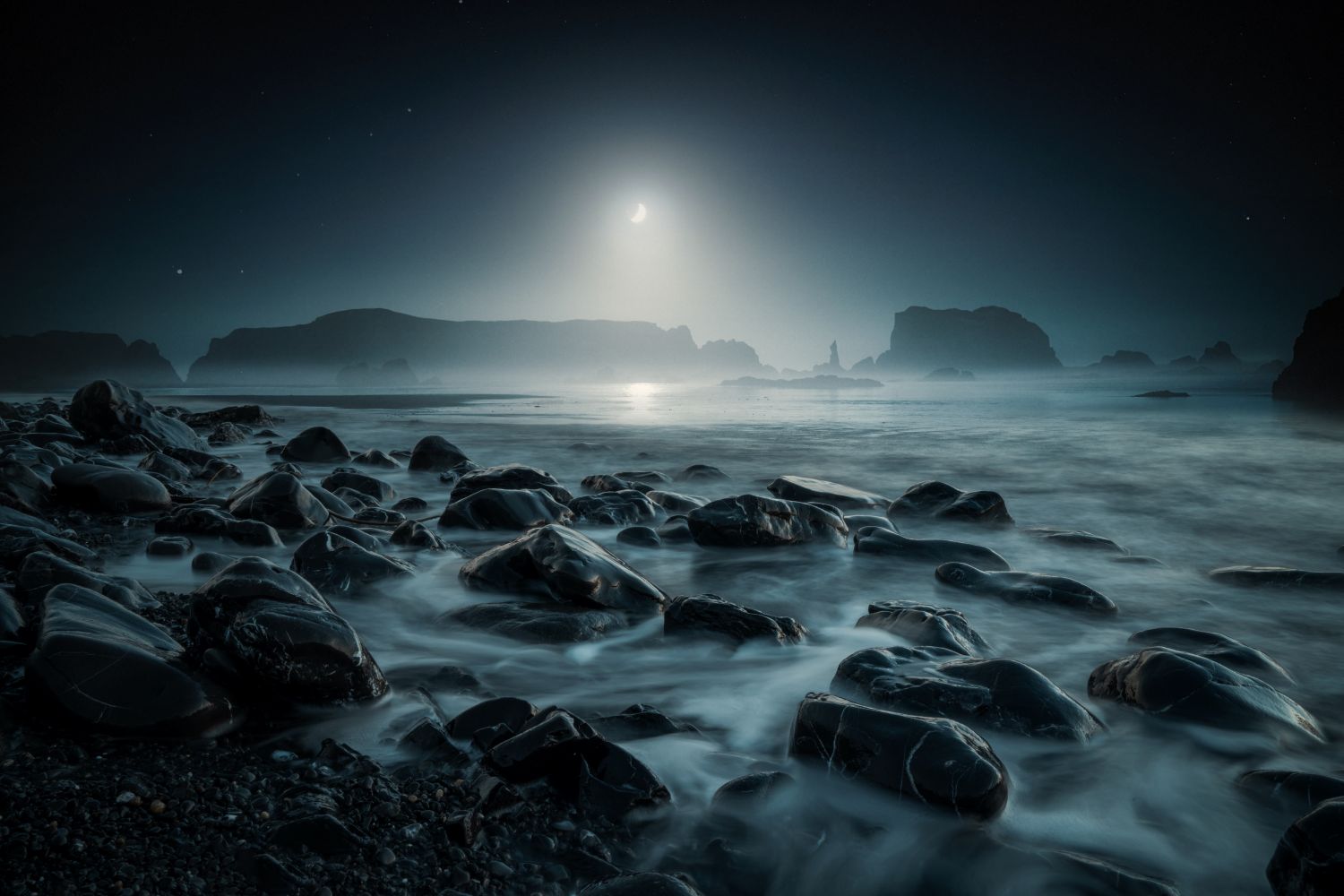 Home - Church of the Mushroom