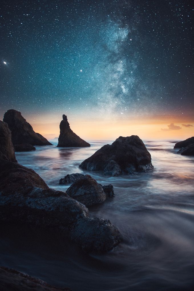 Home - Church of the Mushroom